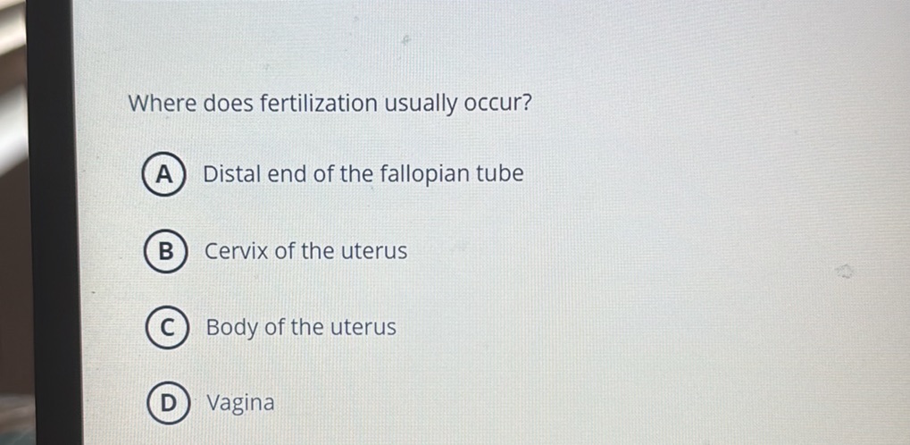 Where does fertilization usually occur? (A) | StudyX