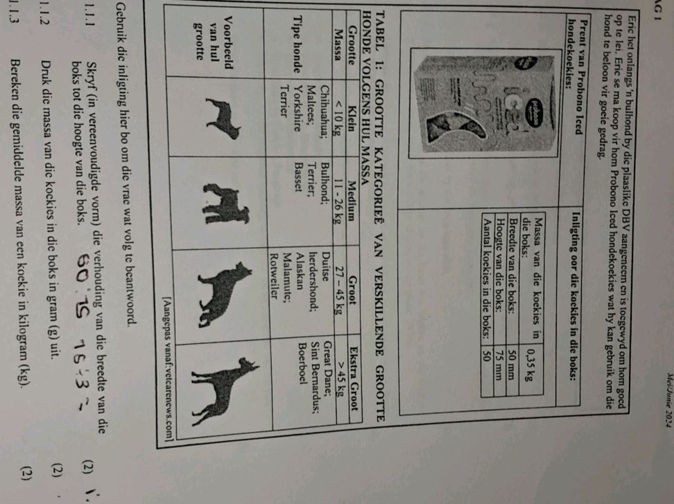 TABEL 1: GROOTTE KATEGORIEË VAN VERSKILLENDE | StudyX