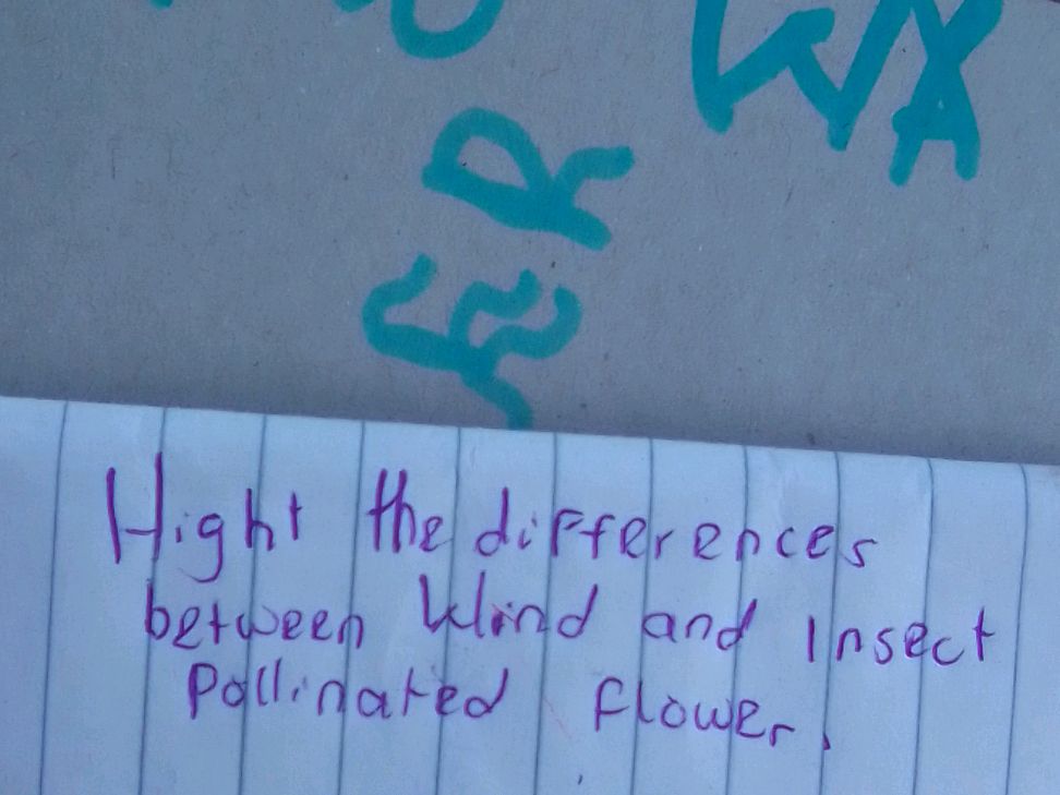 Hight the differences between wind and | StudyX