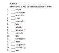 Exercise 1: Fill in the blanks with a/an: | StudyX