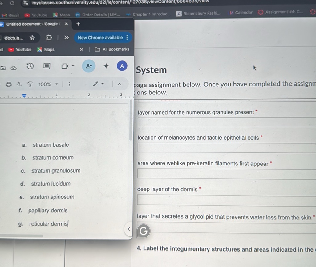 Match the following descriptions with the | StudyX