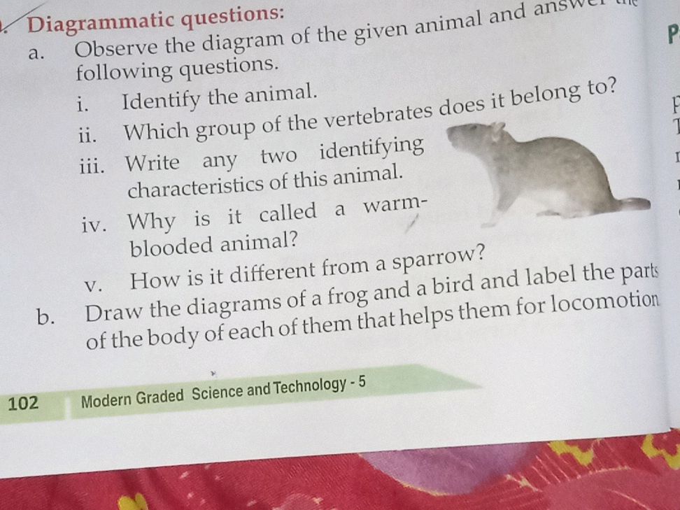 a. Observe the diagram of the given animal | StudyX
