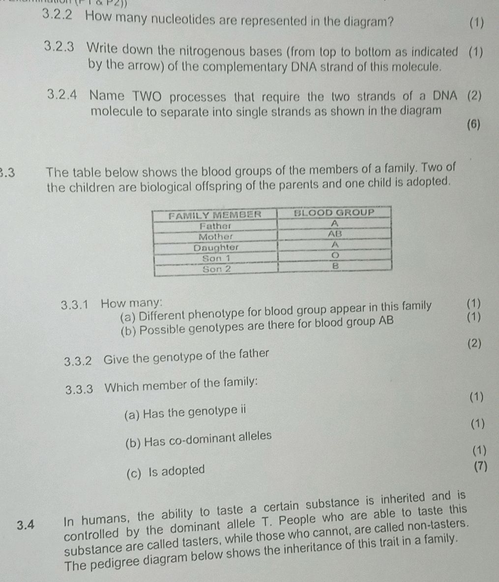 3.2.2 How many nucleotides are represented | StudyX