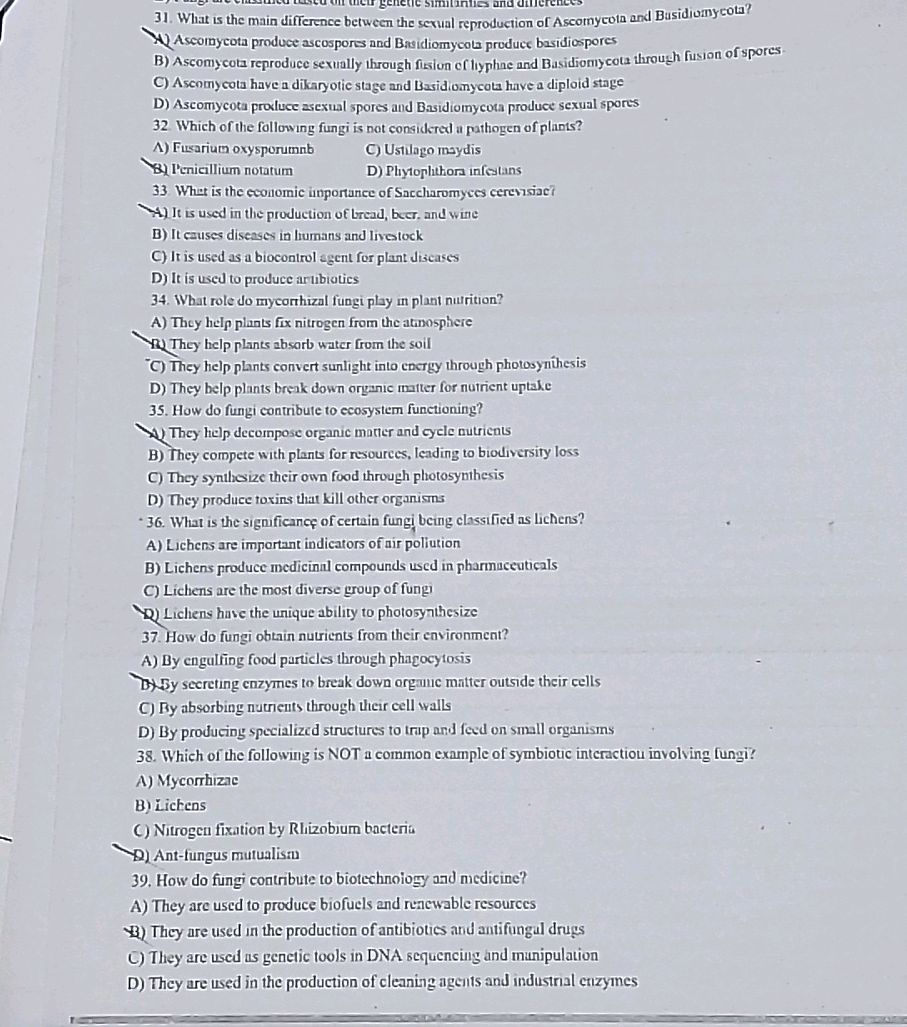 31. What is the main difference between the | StudyX