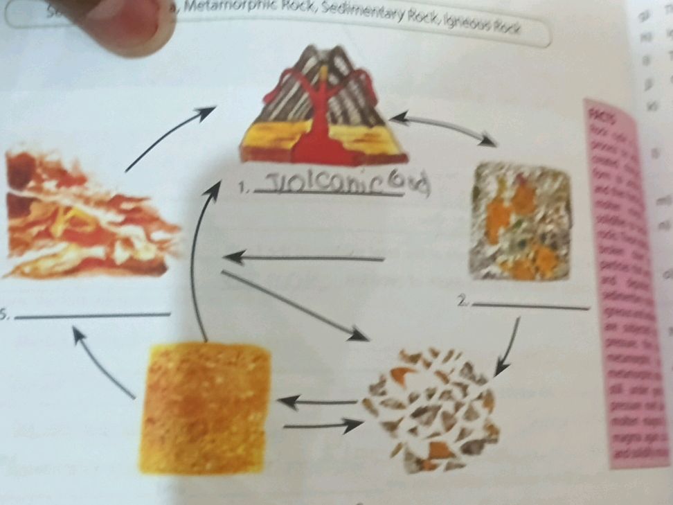 Complete the rock cycle diagram by filling | StudyX