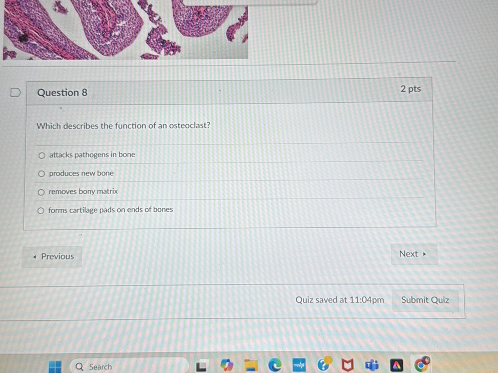 Question 8 Which describes the function of | StudyX