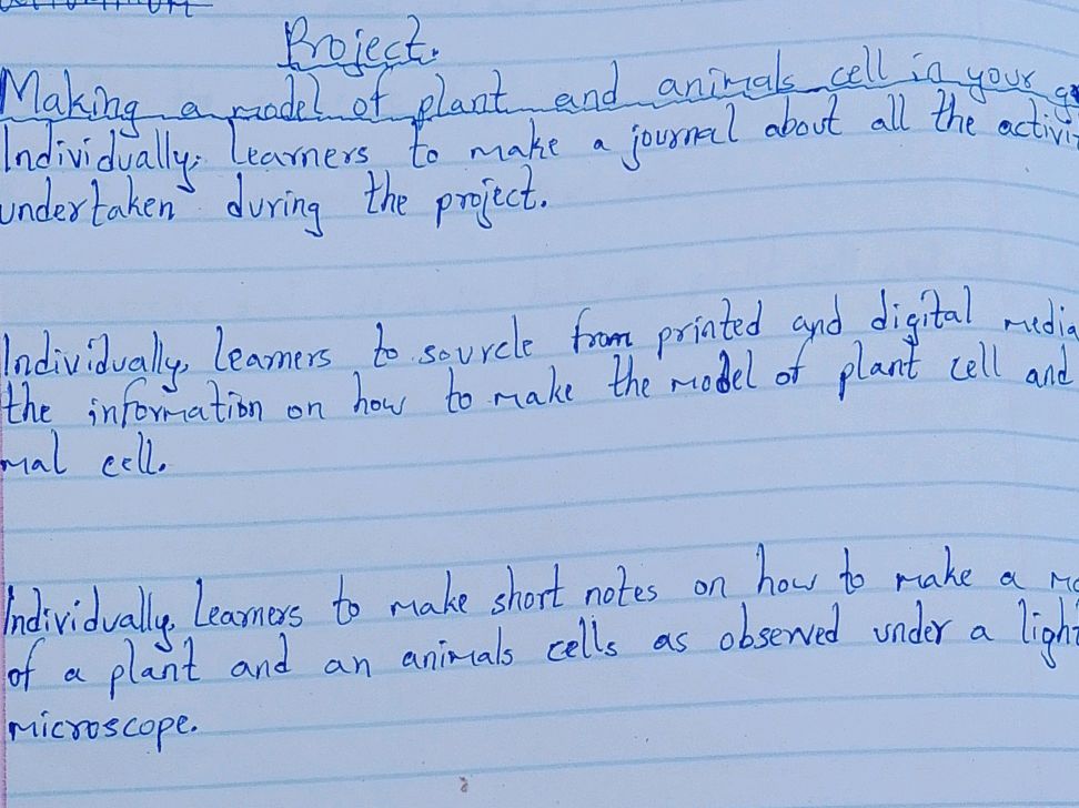 Project Making a model of plant and animals | StudyX