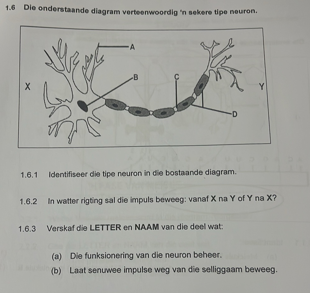 1.6 Die onderstaande diagram verteenwoordig | StudyX