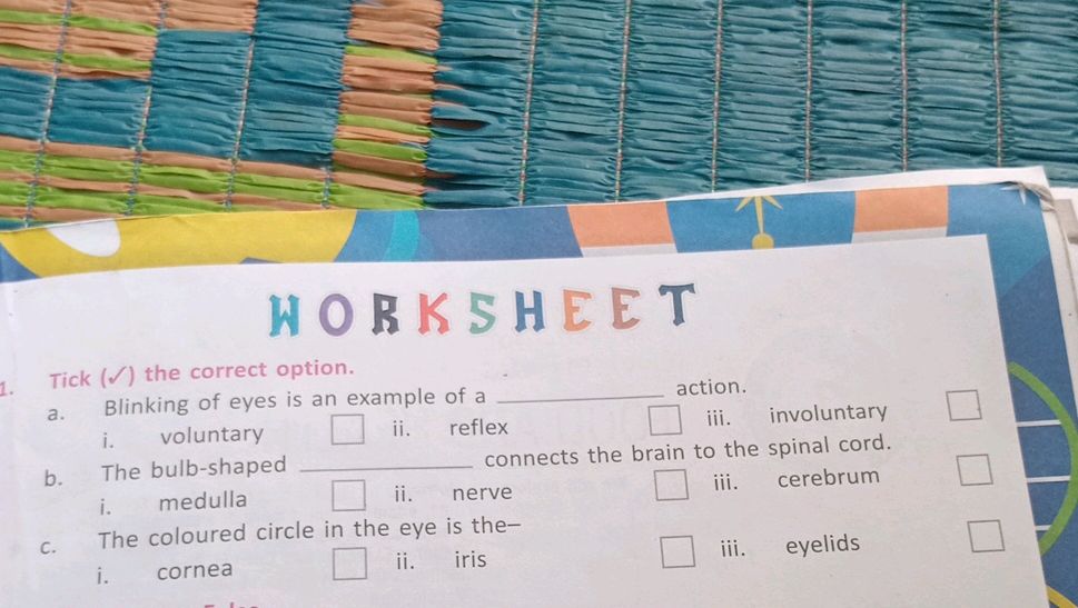1. Tick ( ) the correct option. a. Blinking | StudyX