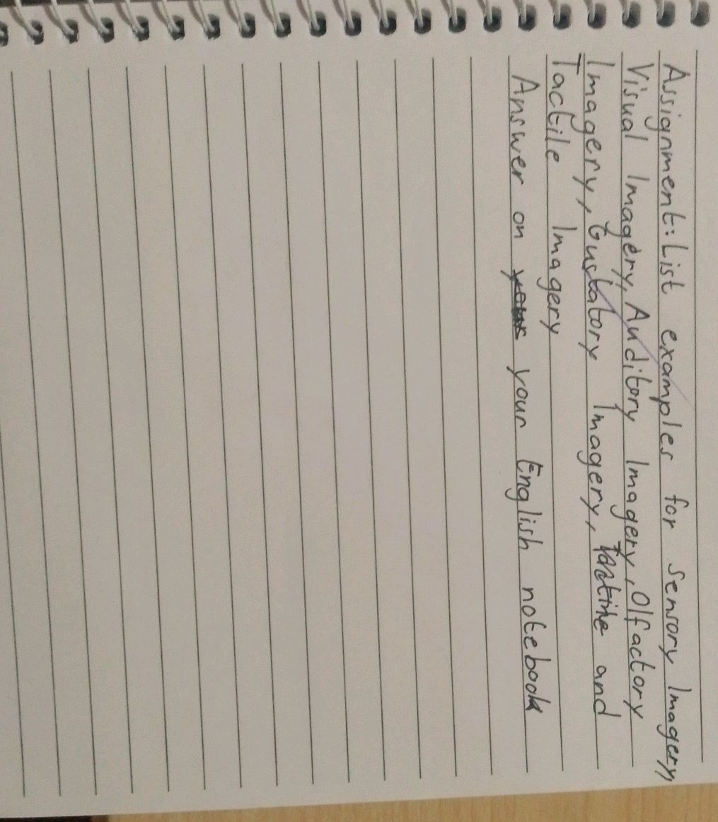 Assignment: List examples for Sensory | StudyX