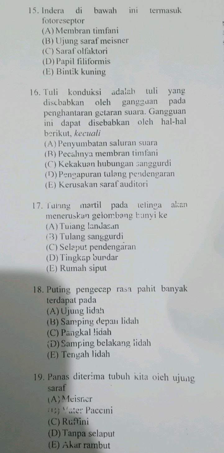 15. Indera di bawah ini termasuk | StudyX