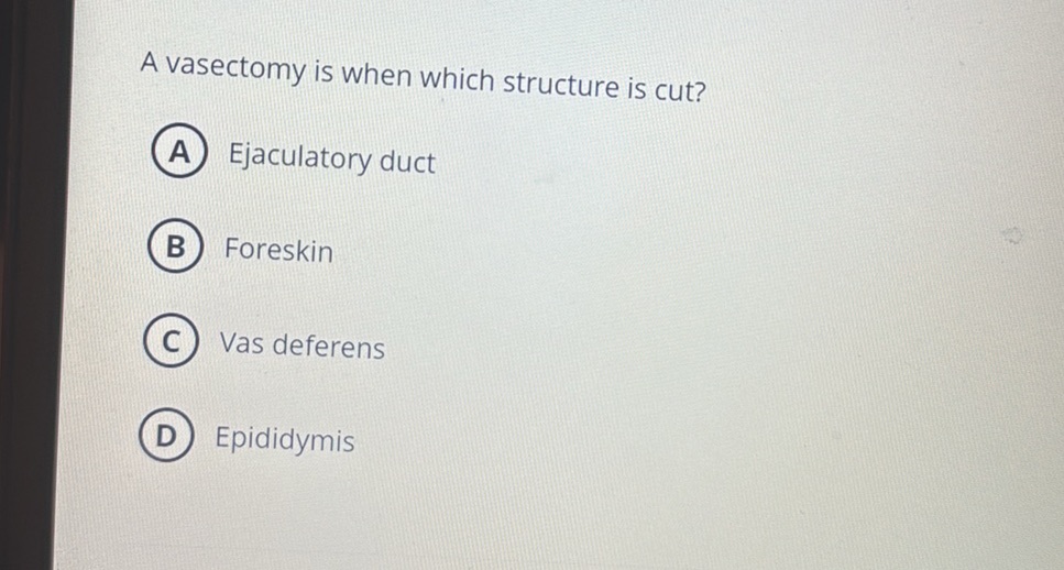 A vasectomy is when which structure is cut? | StudyX
