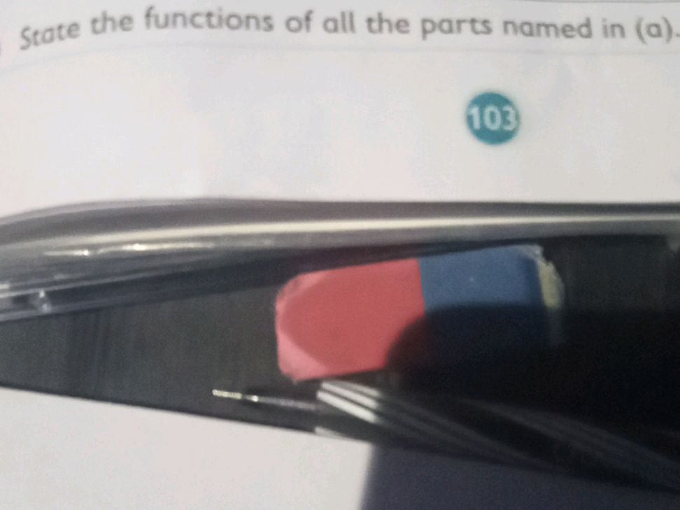 State the functions of all the parts named | StudyX