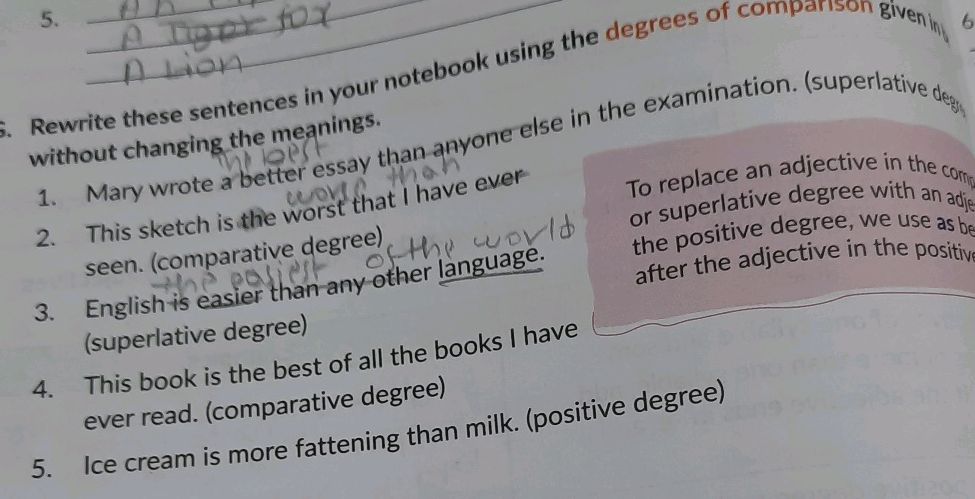 6. Rewrite these sentences in your notebook | StudyX