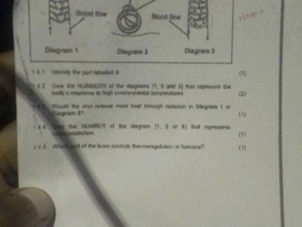 141 Identify the part labelled A 142 Give | StudyX