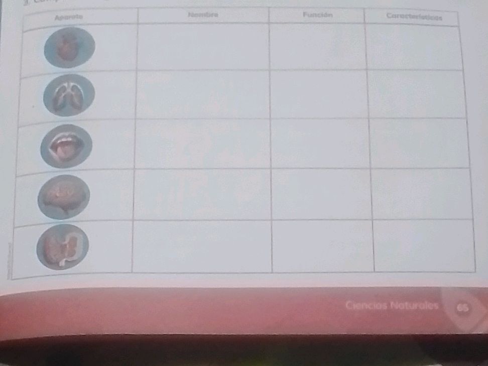 Complete the following table: | Aparato | | StudyX