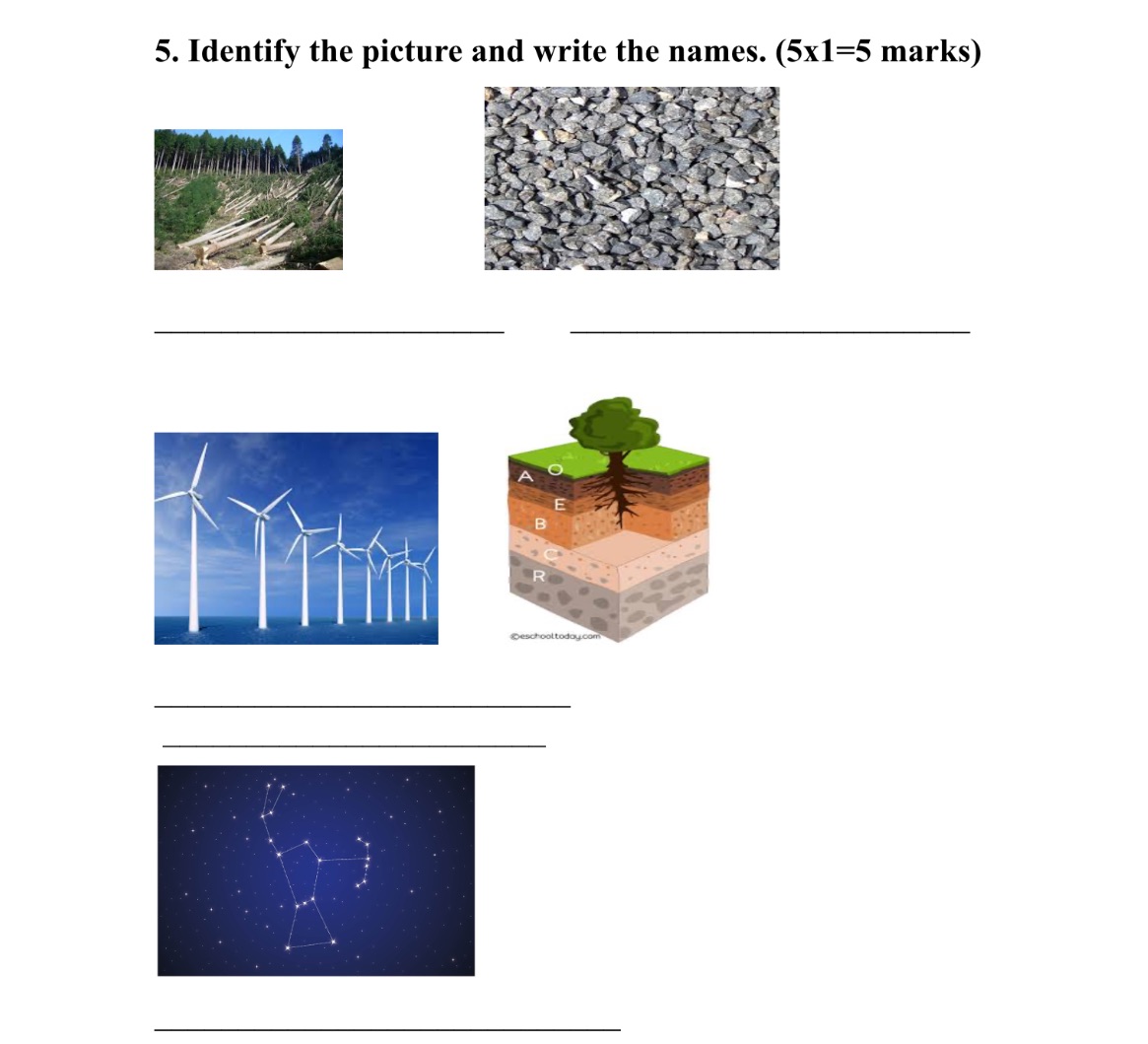 5. Identify the picture and write the names. | StudyX