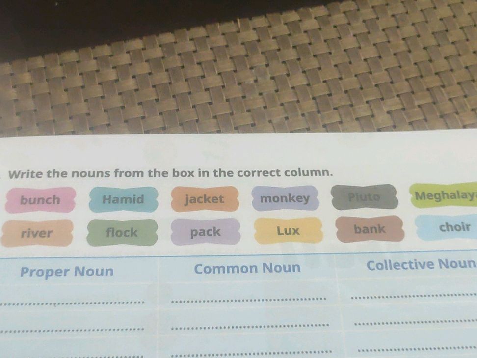 Write the nouns from the box in the correct | StudyX