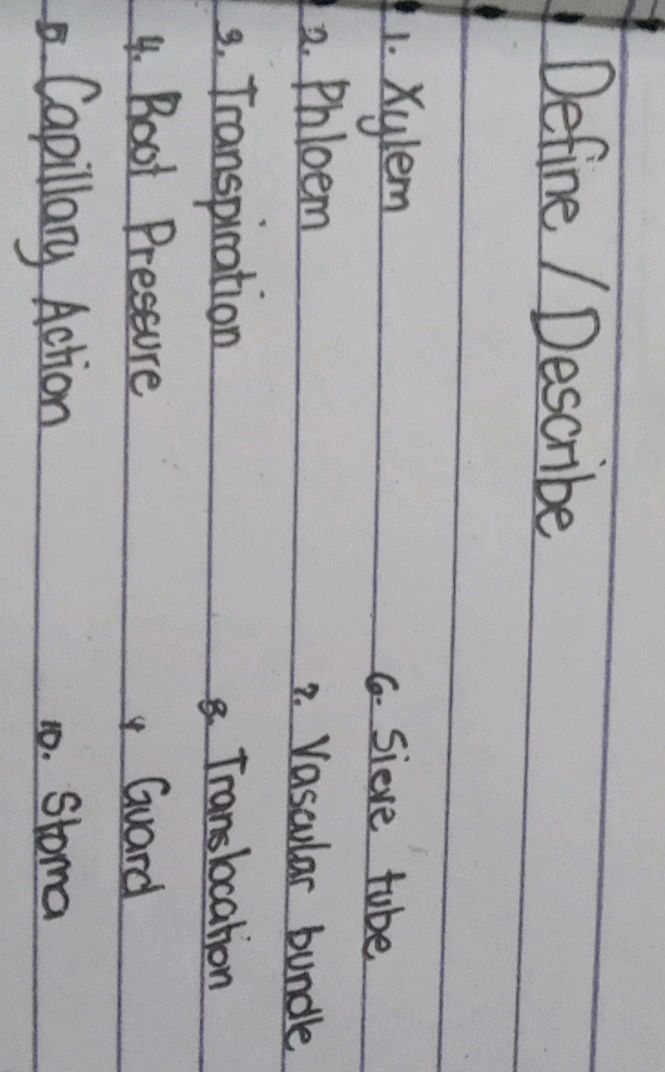 Define / Describe 1. Xylem 2. Phloem 3. | StudyX