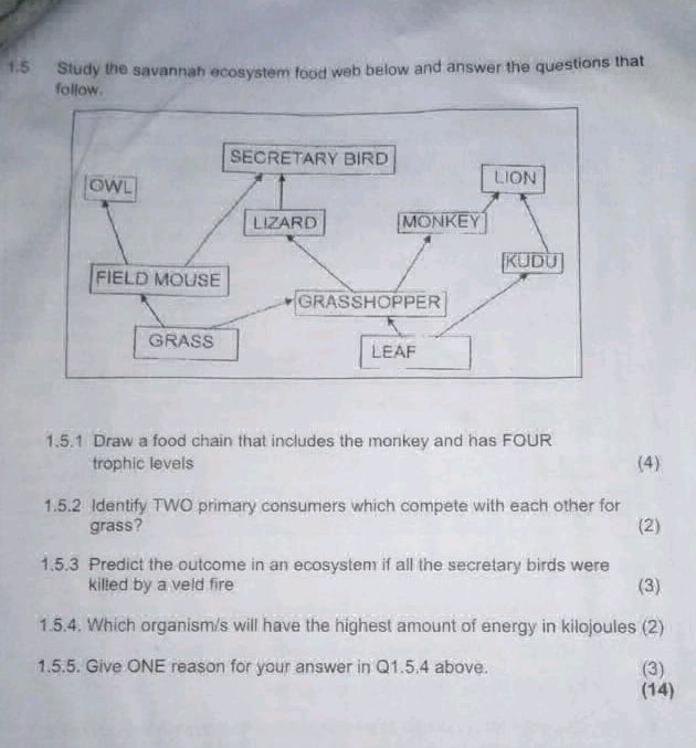 1. 5 Study the savannah ecosystem food web | StudyX