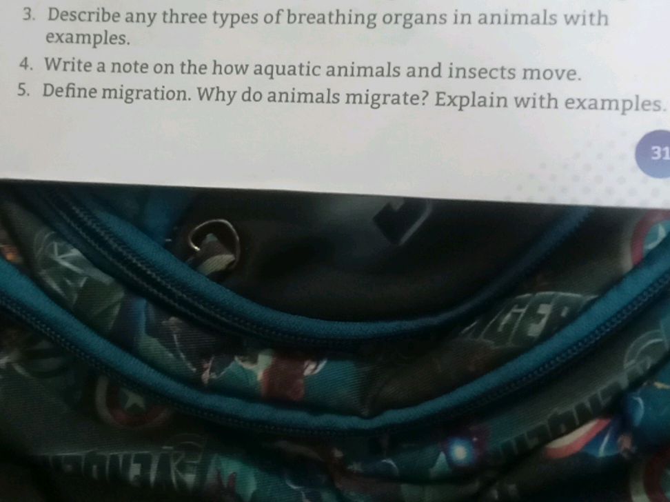 3. Describe any three types of breathing | StudyX