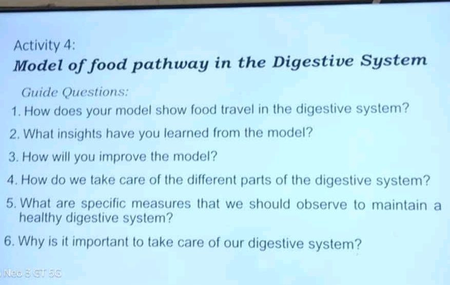 Activity 4: Model of food pathway in the