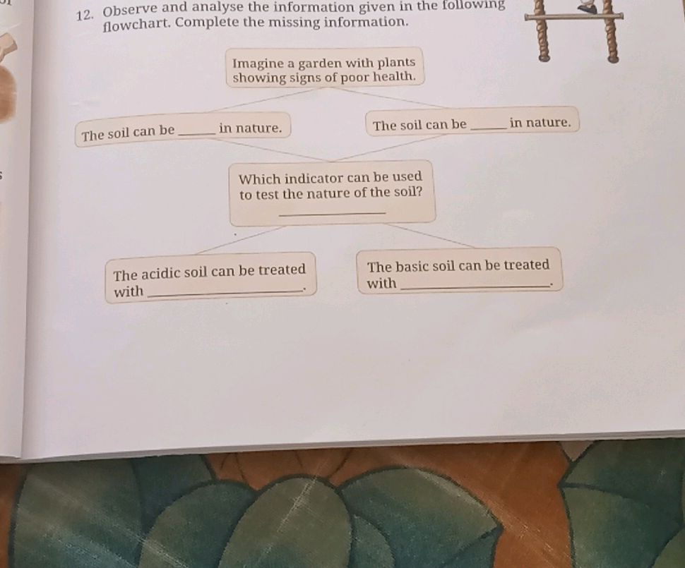 12. Observe and analyse the information | StudyX