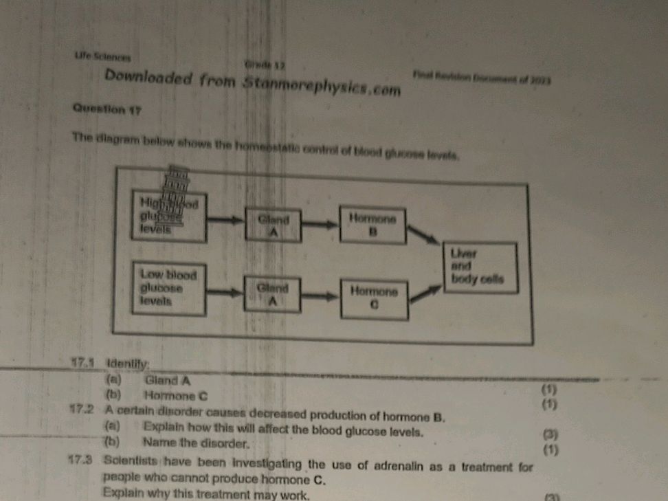 Question 17 The diagram below shows the | StudyX