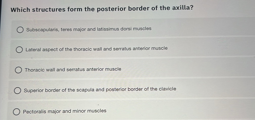 Which structures form the posterior border