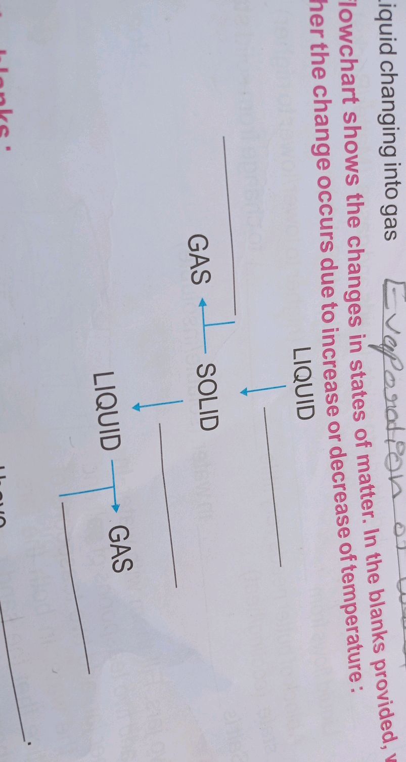 Liquid changing into gas Evaporation | StudyX