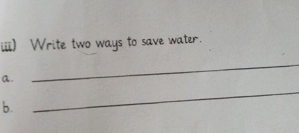 iii) Write two ways to save water. a. b. | StudyX
