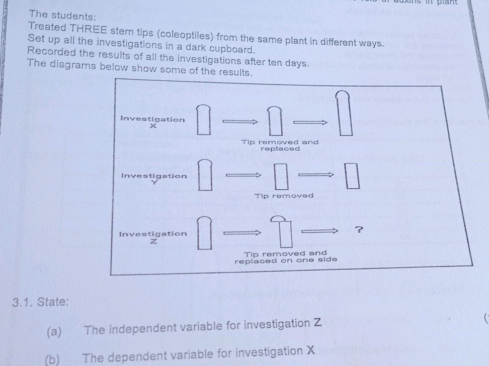 The students: Treated THREE stem tips | StudyX