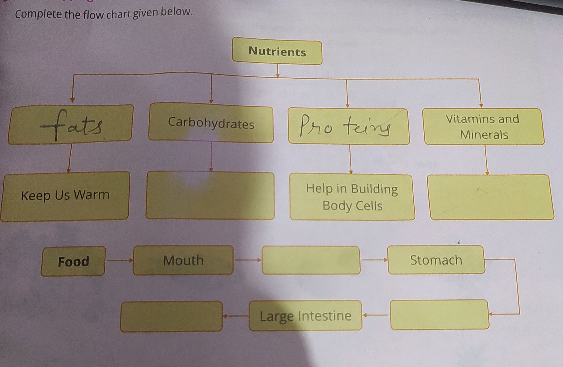 Complete the flow chart given below. | StudyX