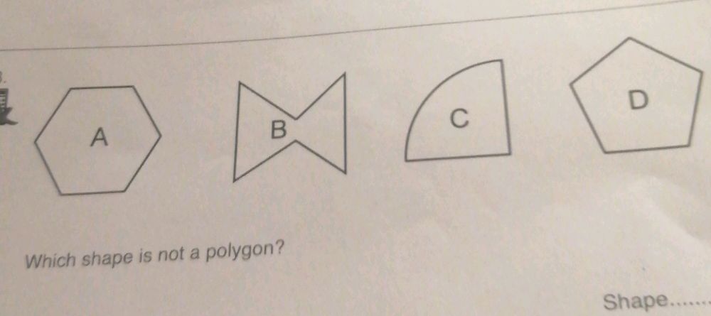 Identifying Polygons - Geometry Question | StudyX