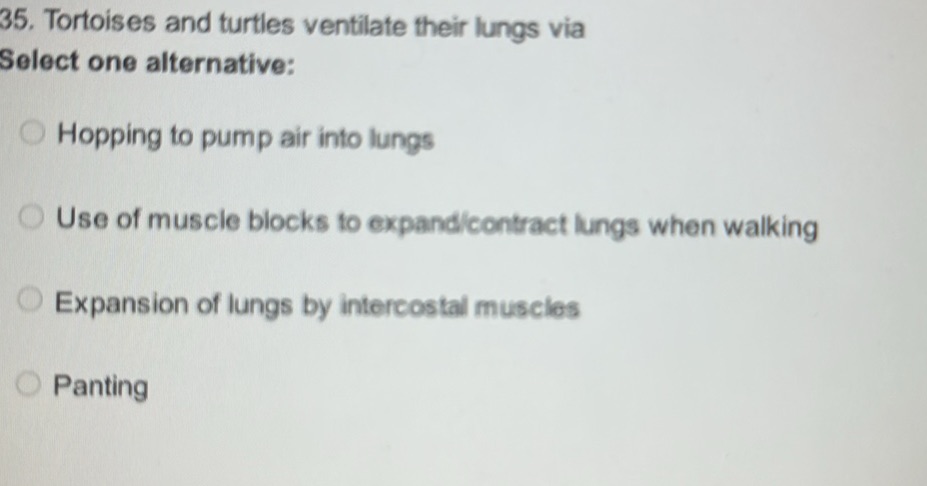 35. Tortoises and turtles ventilate their | StudyX