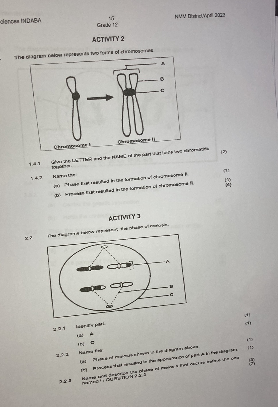 ACTIVITY 2 The diagram below represents two | StudyX