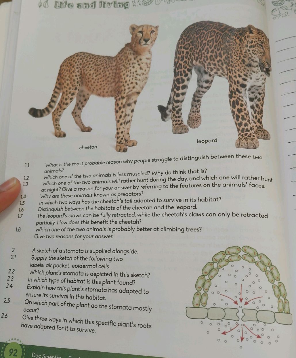 1.1 What is the most probable reason why | StudyX