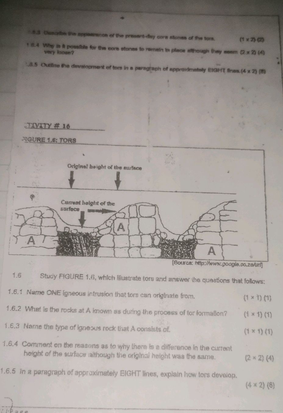 1. 5.3 Describe the appearance of the | StudyX