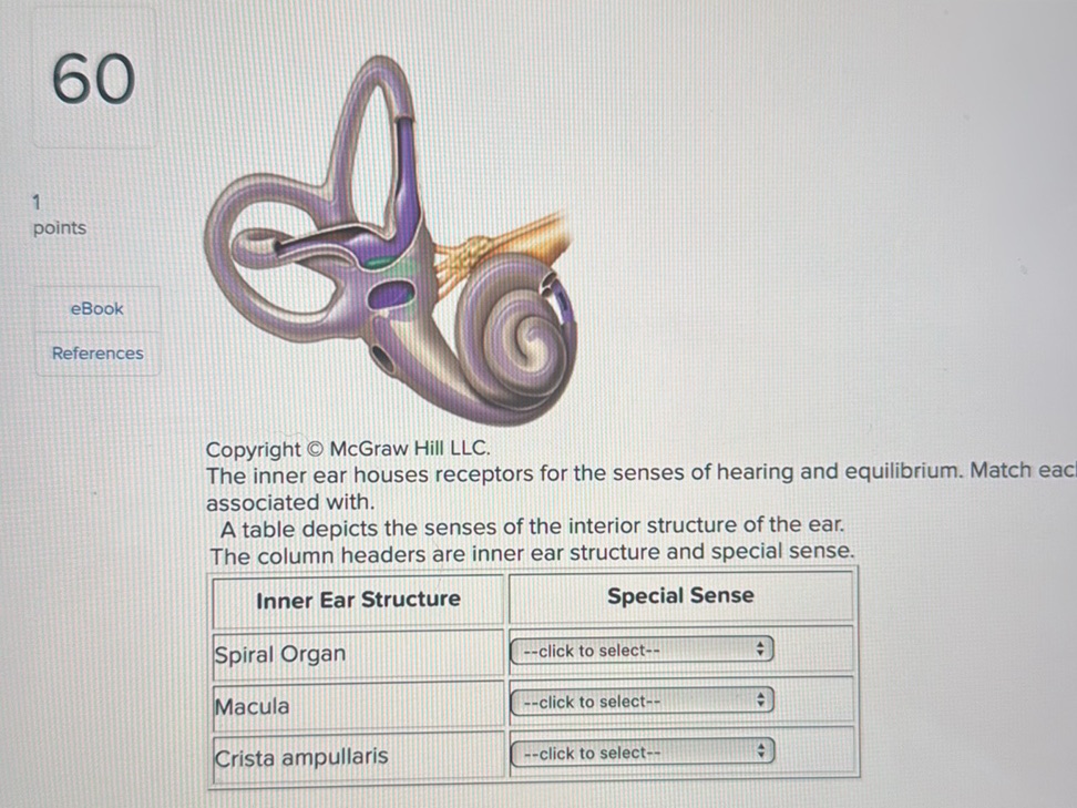The inner ear houses receptors for the
