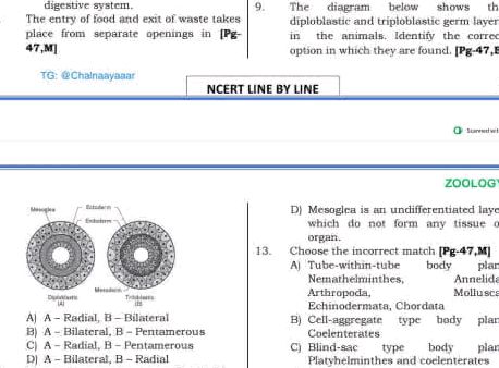 9. The diagram below shows the diploblastic | StudyX