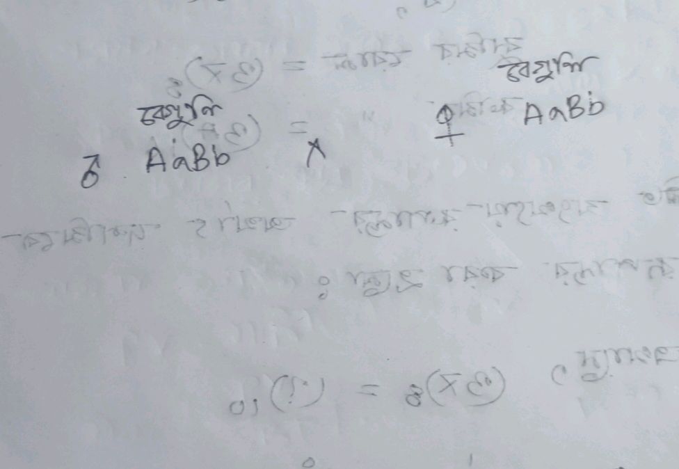 Punnett Square for AaBb x AaBb | StudyX