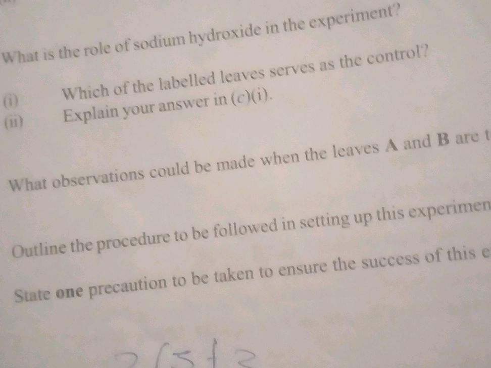 What is the role of sodium hydroxide in the