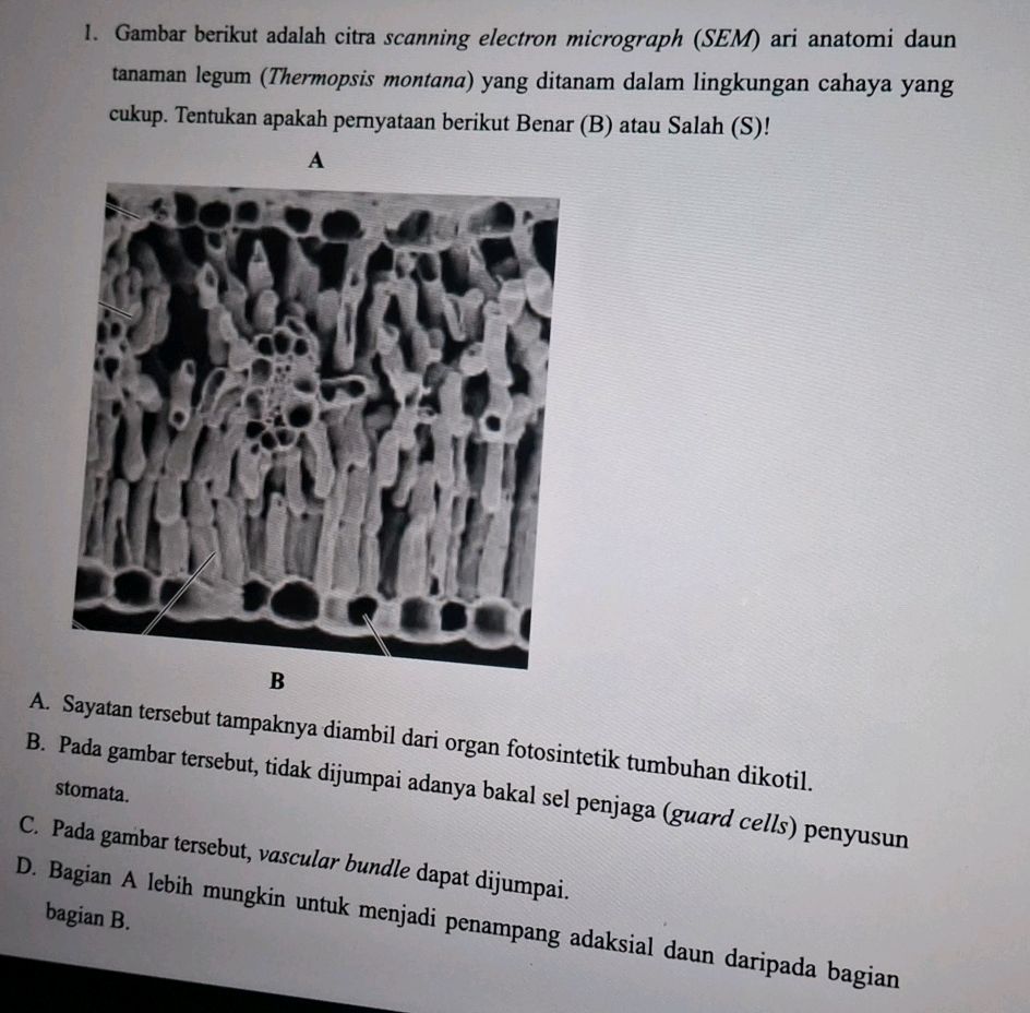 1. Gambar berikut adalah citra scanning | StudyX