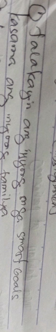 Ano ang dalawang uri ng Smart Goals? | StudyX