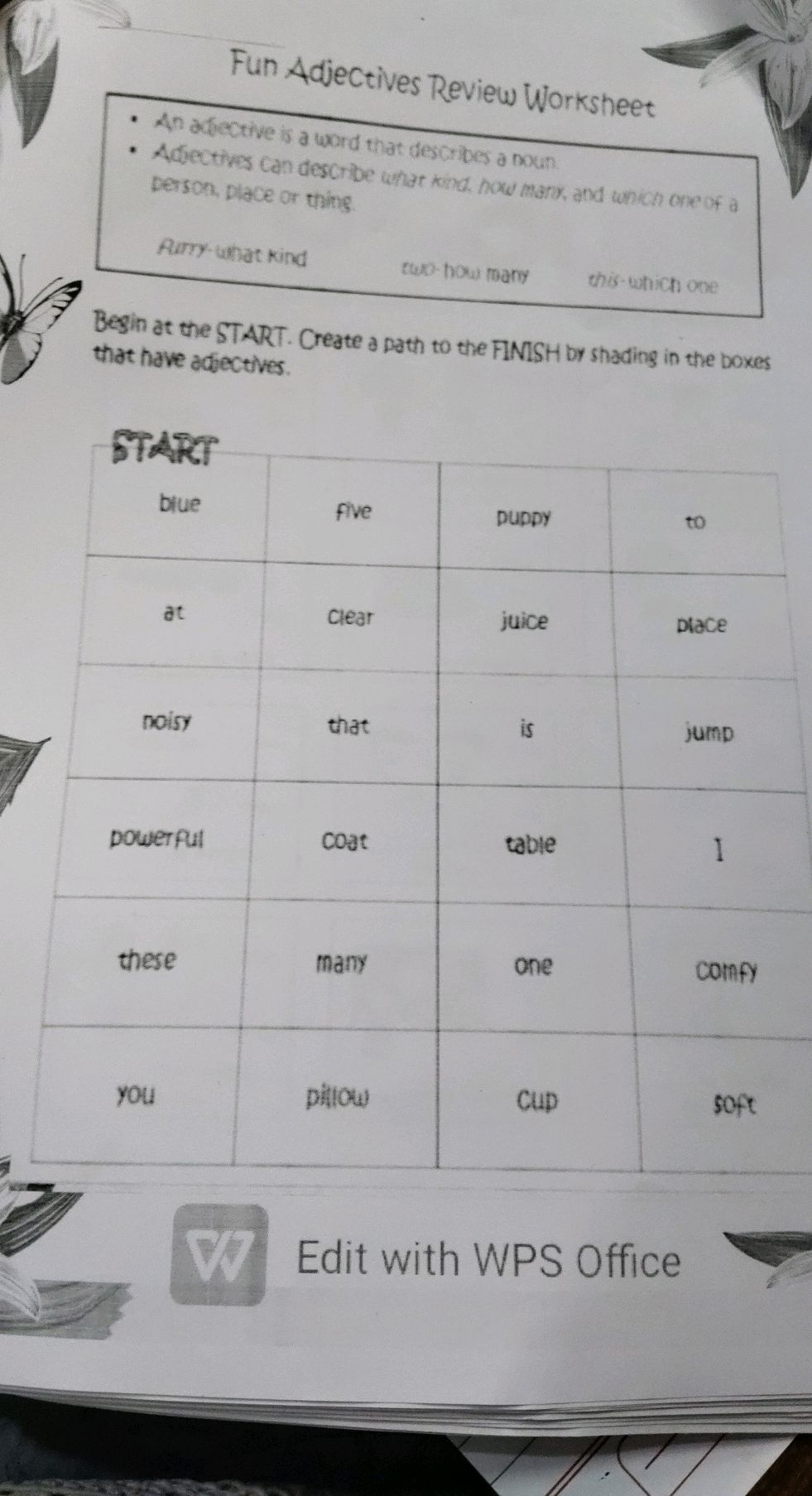 Fun Adjectives Review Worksheet • An | StudyX