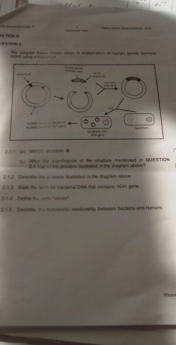 The diagram below shows steps in | StudyX