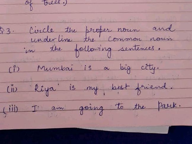 Q3. Circle the proper noun and underline the | StudyX