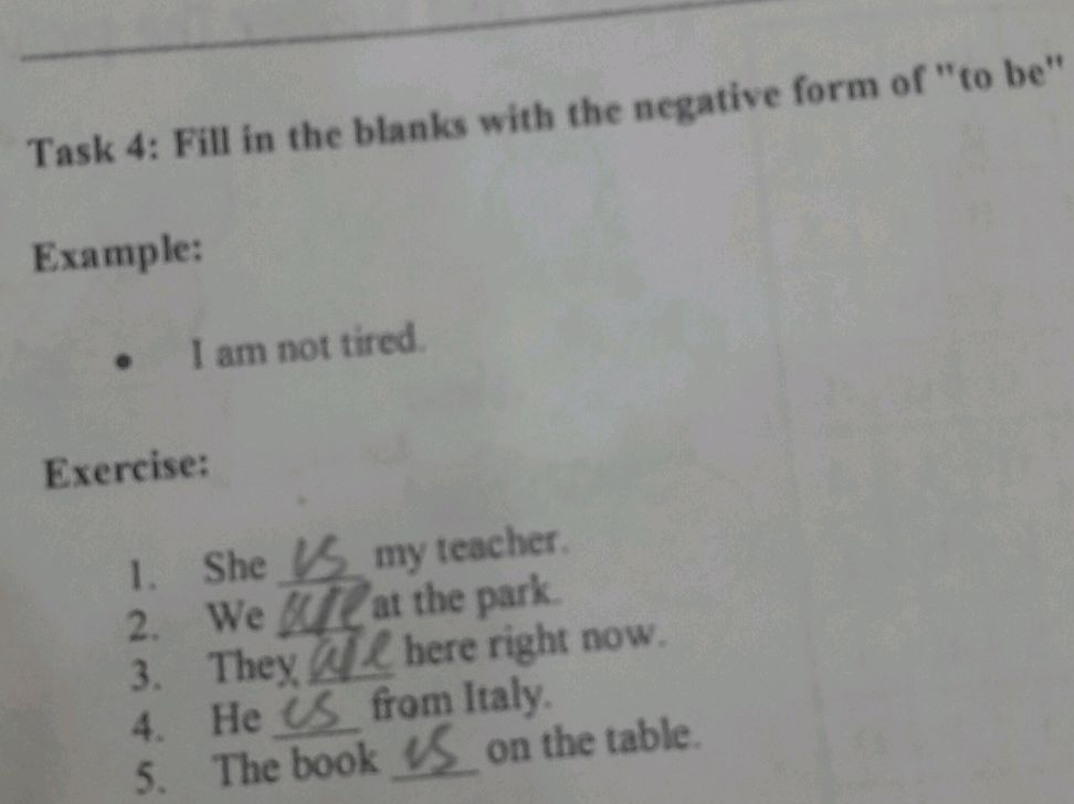 Task 4: Fill in the blanks with the negative | StudyX