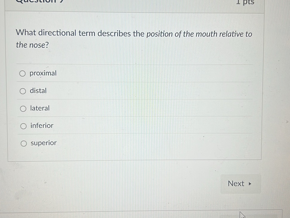 What directional term describes the position