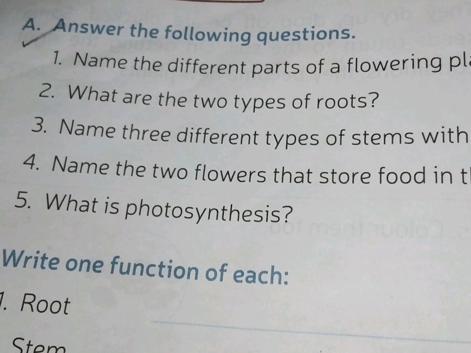 A. Answer the following questions. 1. Name | StudyX